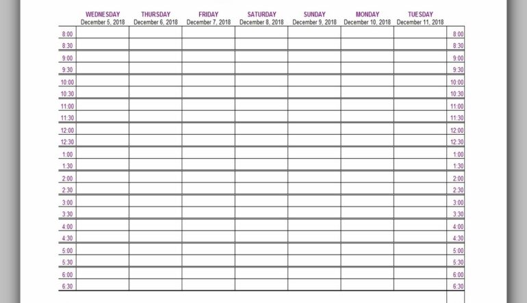 20+ Best Activity Schedule Templates (PDF, Word, Excel) - sample schedule