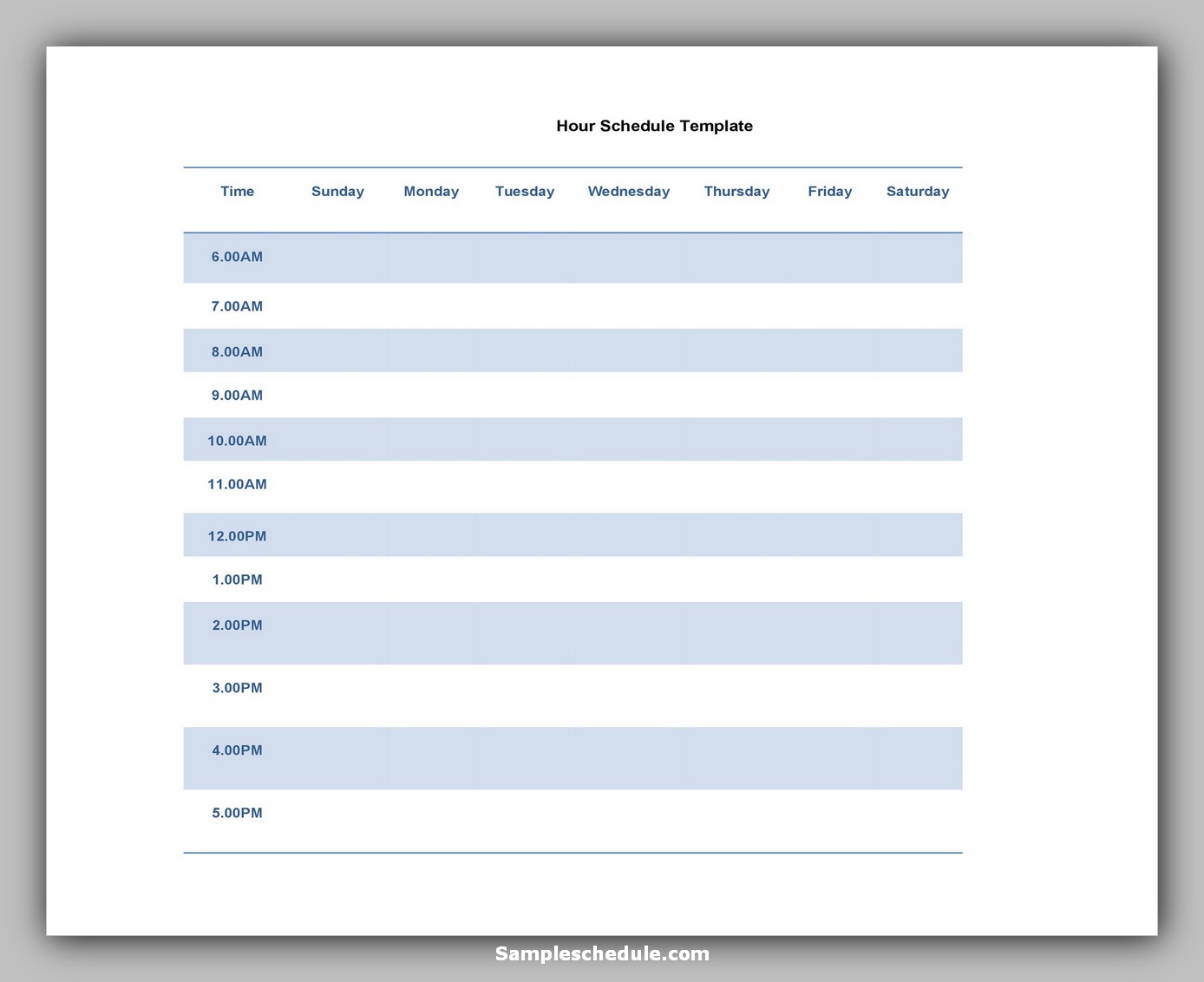 60+ Best Practices Hourly Schedule Template Excel & Word - sample schedule
