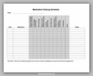 26+ Free Medication Schedule Template - sample schedule