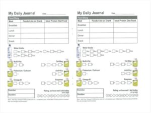 17+ Daily Log Template FREE - sample schedule