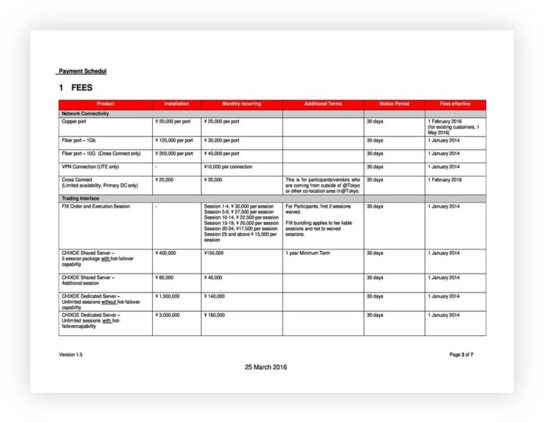 55+ Simple Payment Schedule Template (Word, Excel) – sample schedule