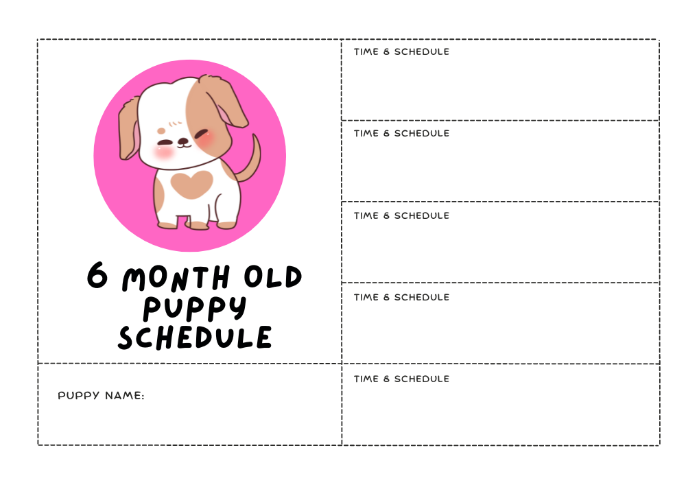 Powerful 6 Month Old Puppy Schedule (Introducing, Feeding, Training ...